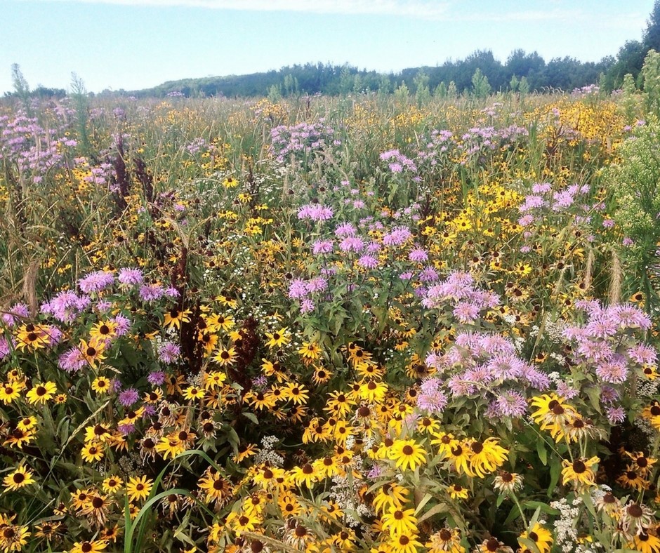 Landowner assistance for Your Property - Conservation Digest